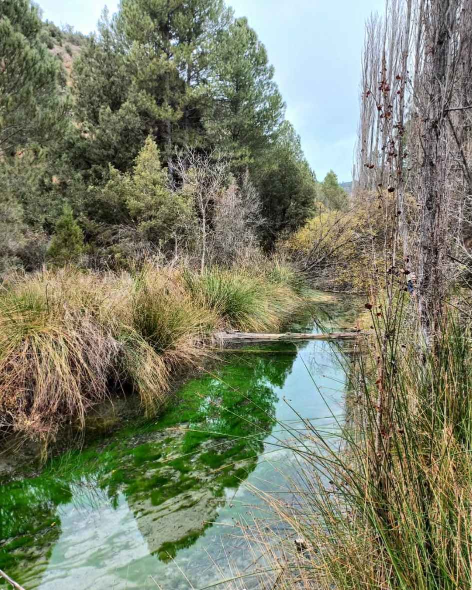 Los Estrechos del río Ebrón |[2025 ] Turismo en Teruel